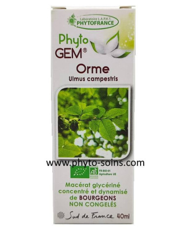 Orme en Macérat Glycériné Concentré BIO